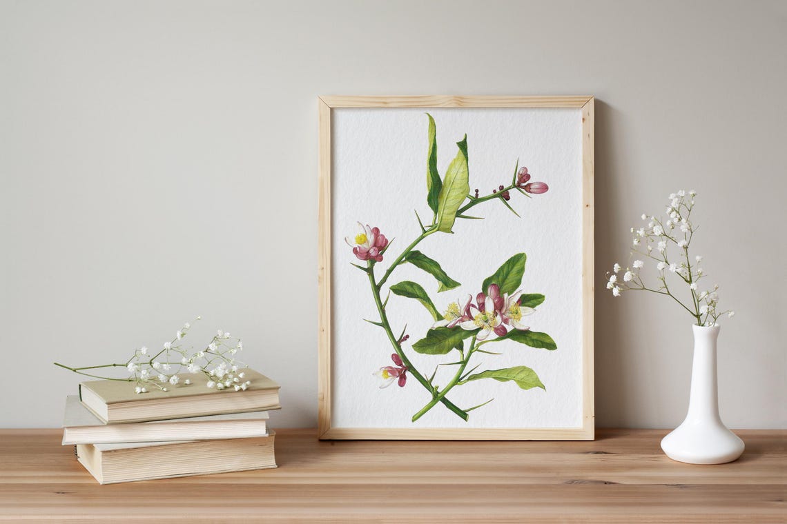 Citron Flower Watercolor High Resolution Digital Download | Printable ...