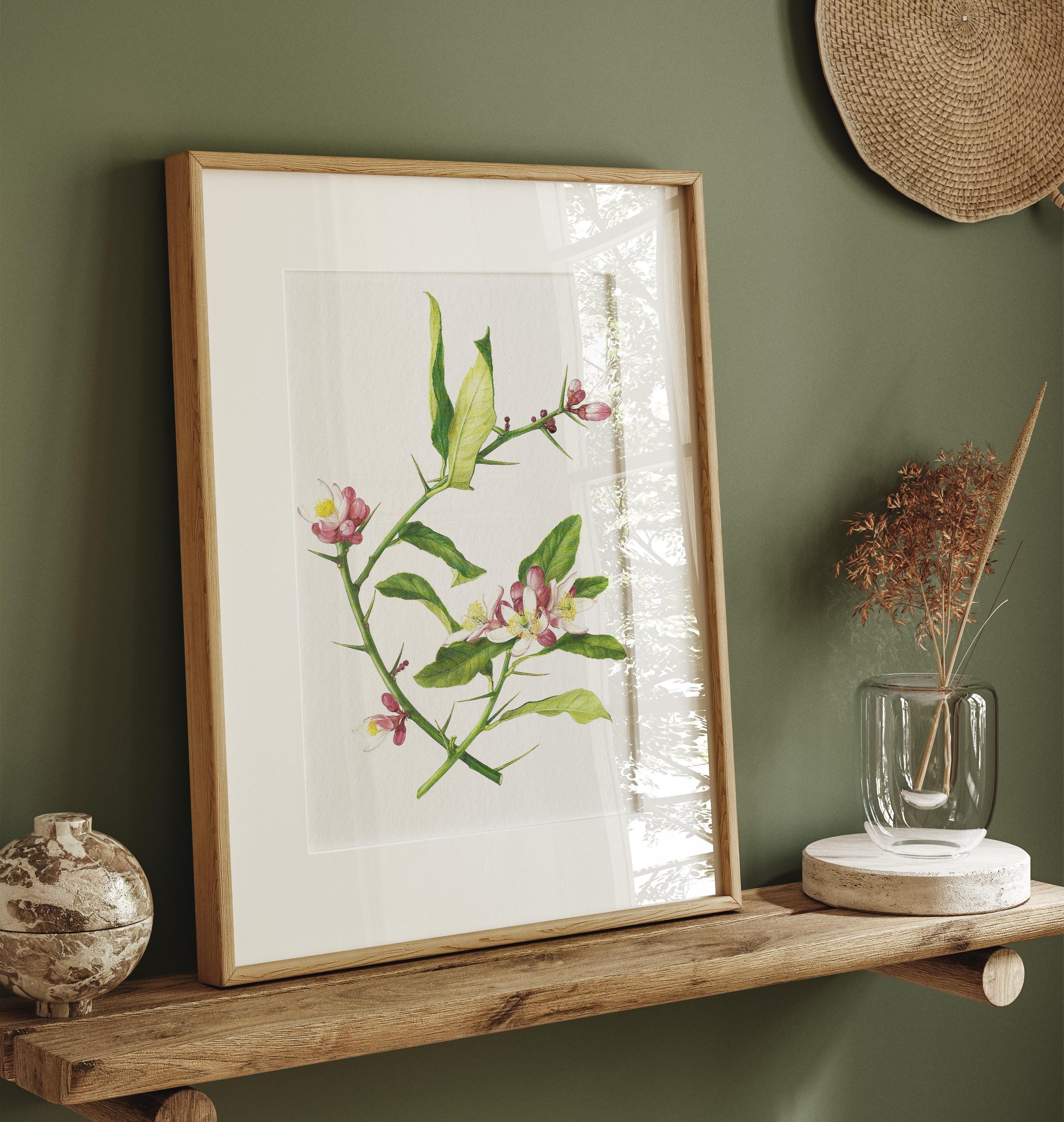 Citron Flower Watercolor High Resolution Digital Download | Printable ...