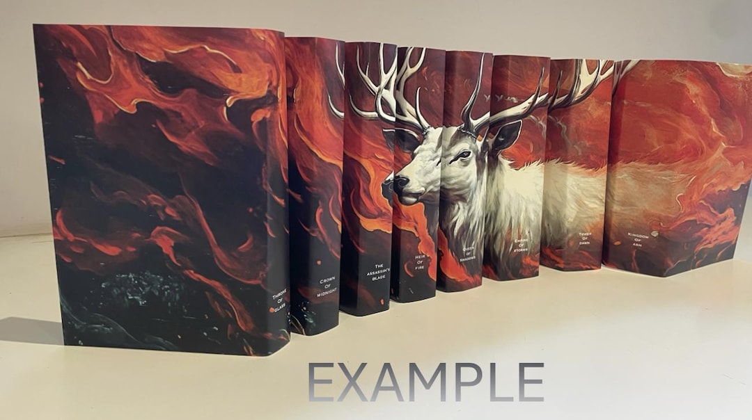 Throne of Glass-inspired Book Sleeves & Dust Jackets - Red Fire and ...