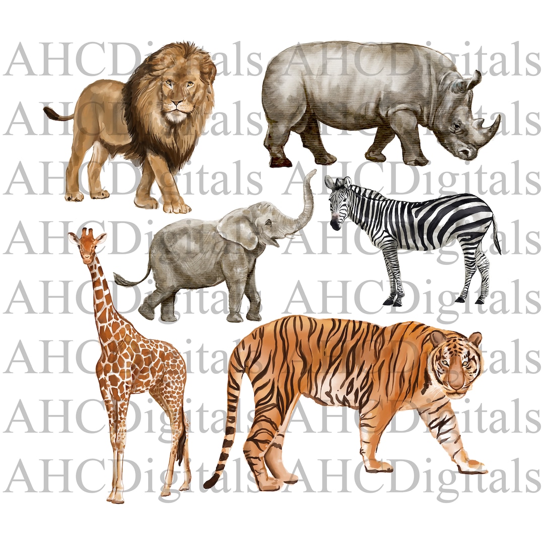 Cute Safari Combo - Sublimation Image, Watercolor Animal, Lion Tiger ...