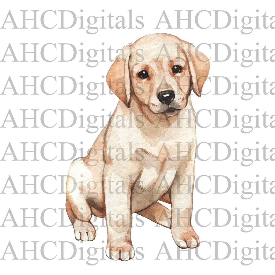 Yellow Lab Puppy Sublimation Image, Golden Lab Watercolor Image ...