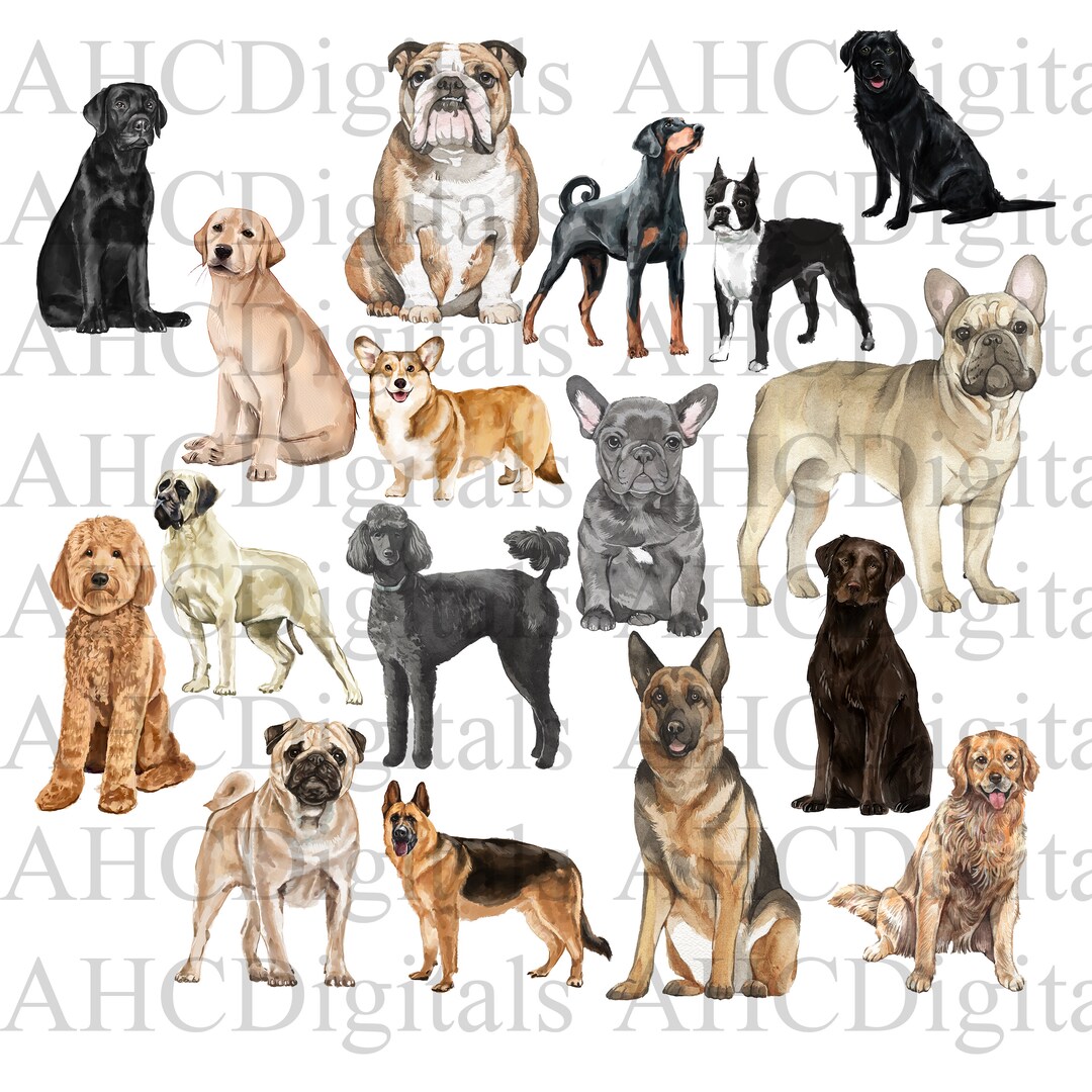 17 Dog Breeds Bundle - Watercolor Sublimation PNG Set - Instant ...