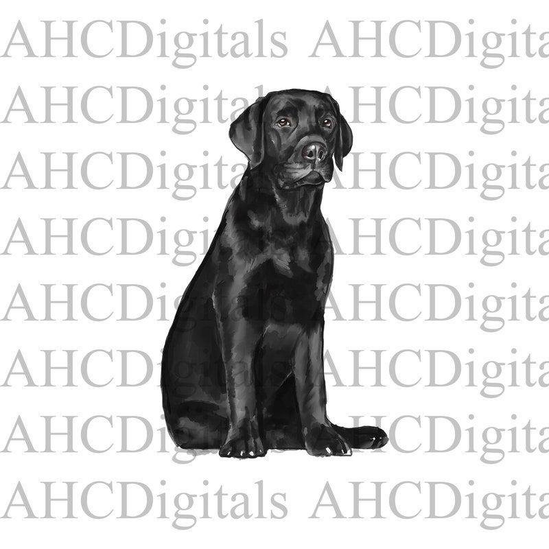 Black Lab Svg - Etsy