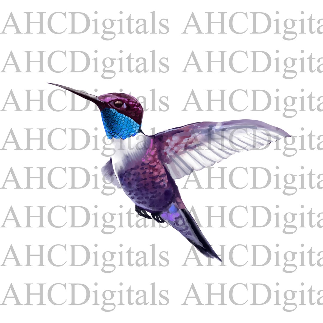 Purple Hummingbird Sublimation Image, Blue Ruby-throated Hummingbird ...