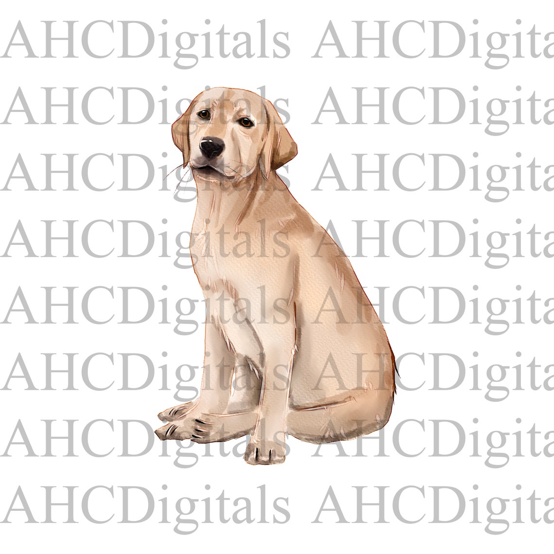 Yellow Lab Sublimation Image, Golden Lab Watercolor Image, Labrador ...