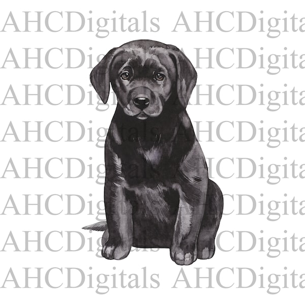 Black Lab Svg - Etsy