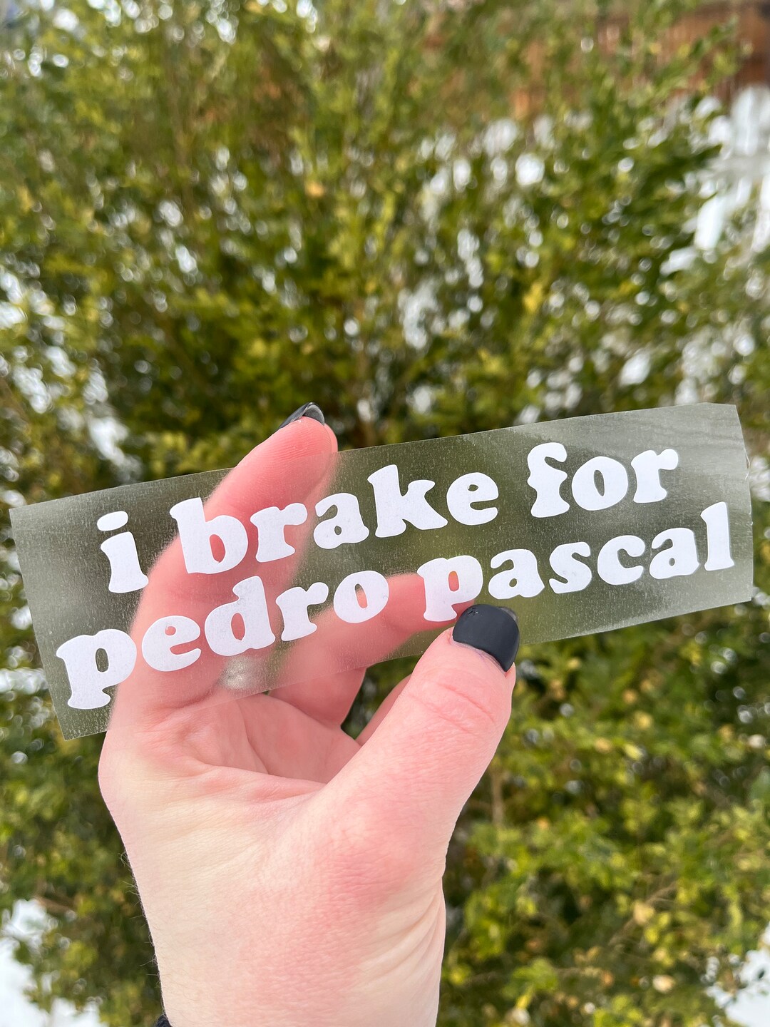 I Brake for Pedro Pascal Vinyl Decal Pedro Pascal Vinyl - Etsy Canada