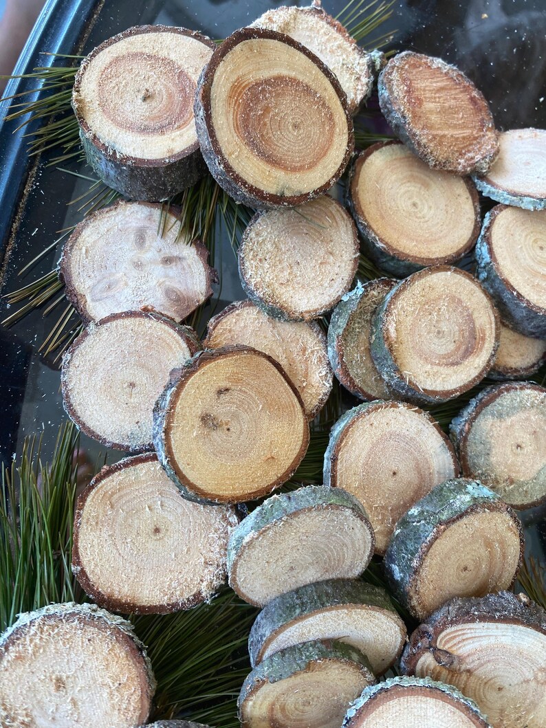 Balsam Fir Pine Cone Logs 50 2-3” - Etsy