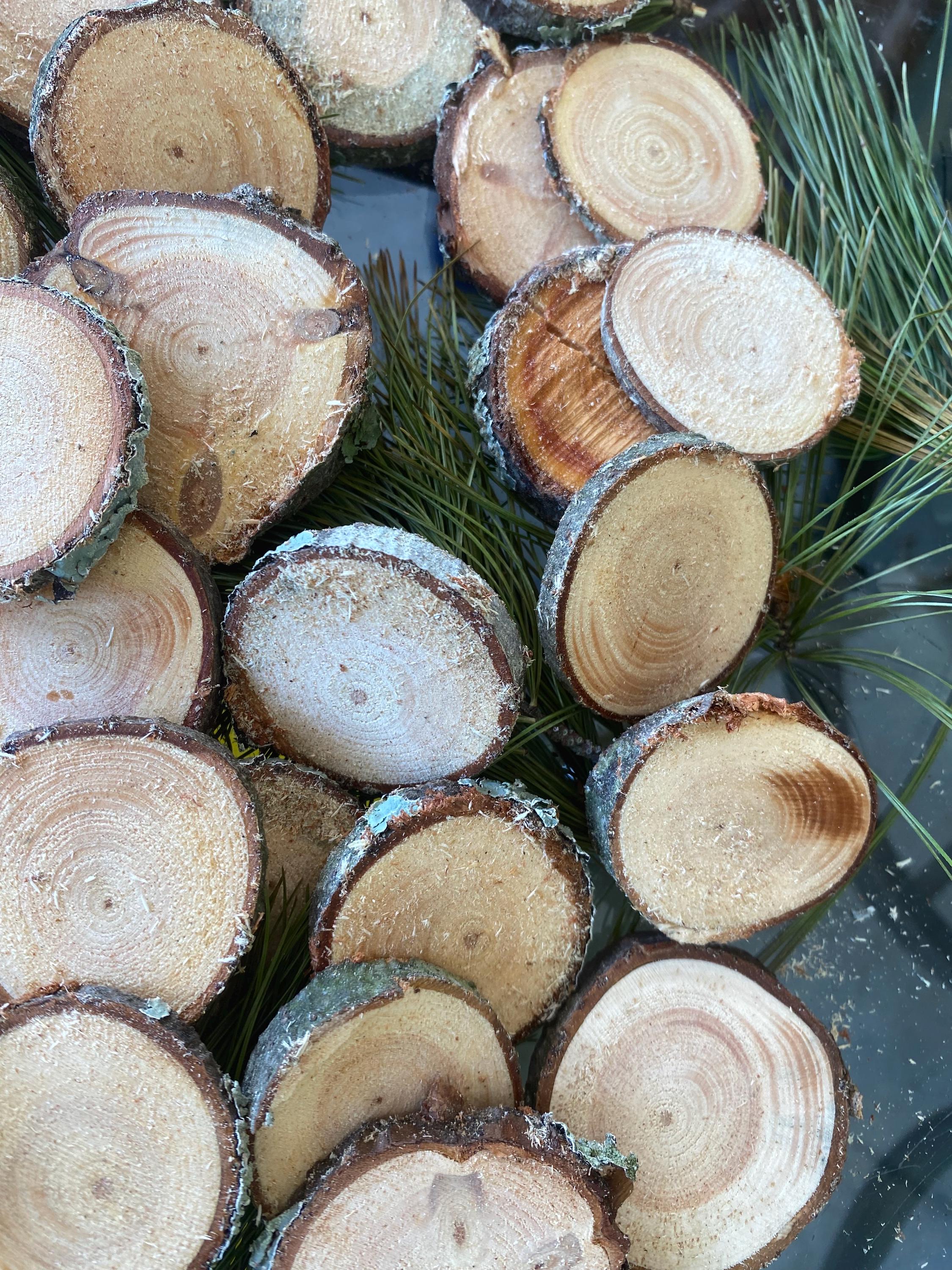Balsam Fir Pine Cone Logs 50 2-3” - Etsy
