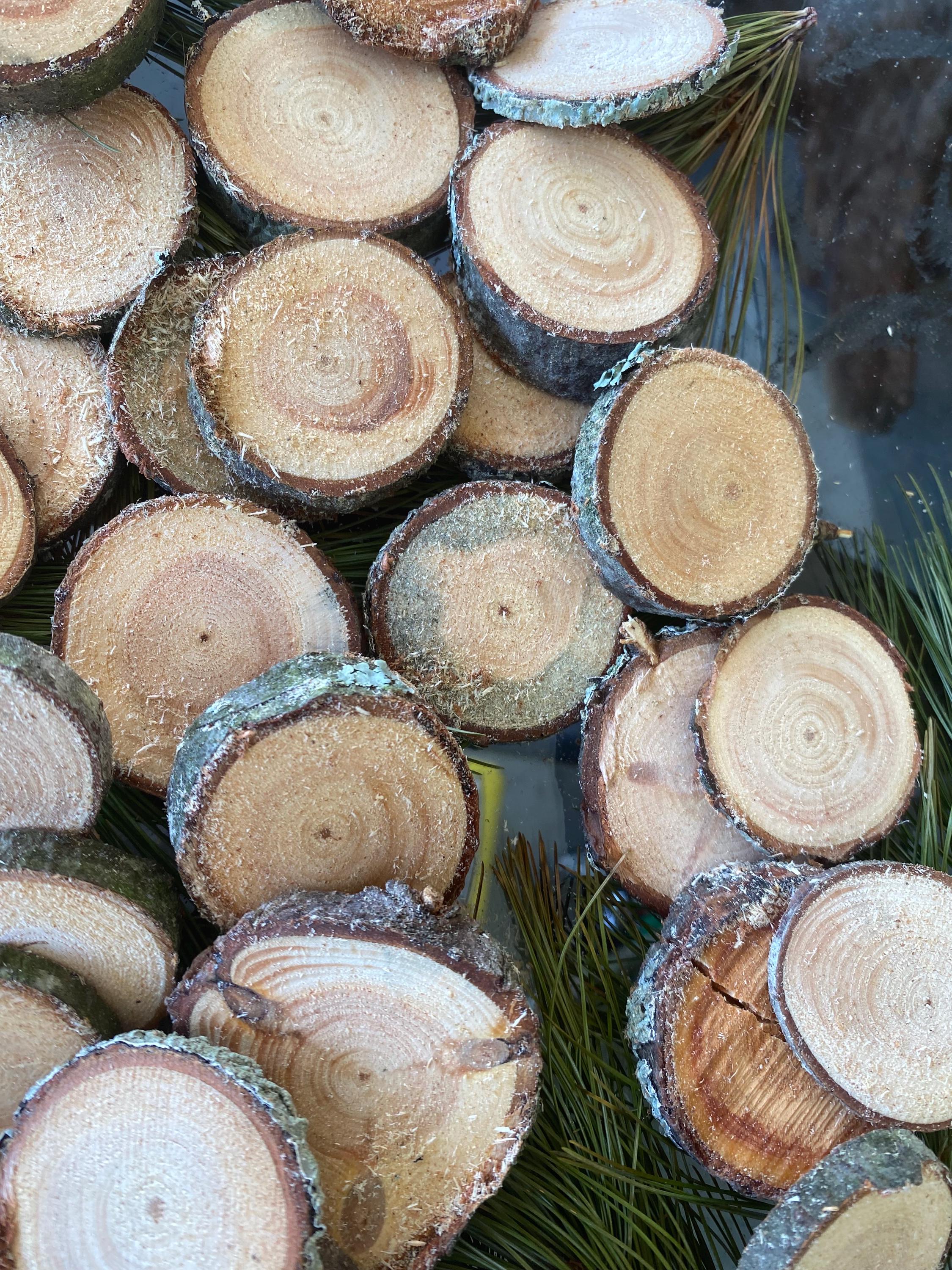 Balsam Fir Pine Cone Logs 50 2-3” - Etsy