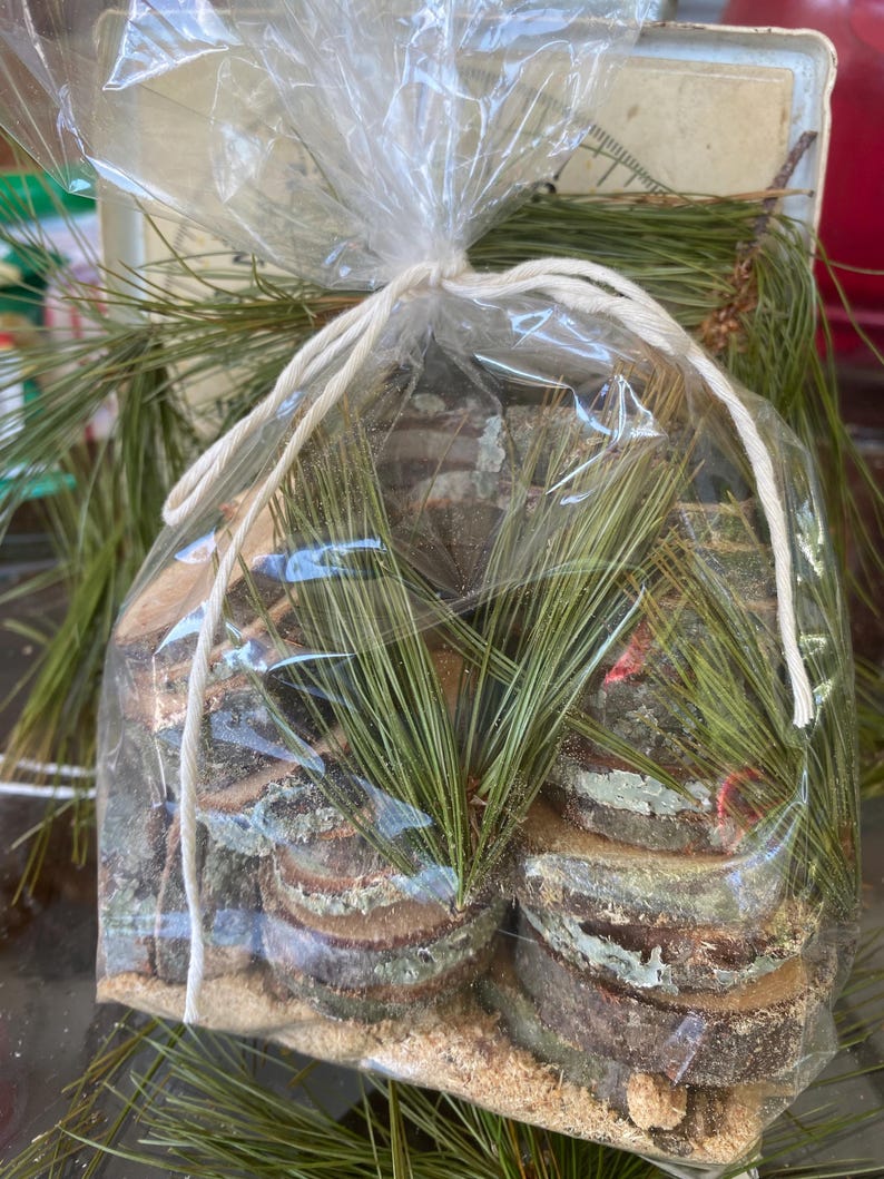 Balsam Fir Pine Cone Logs 50 2-3” - Etsy