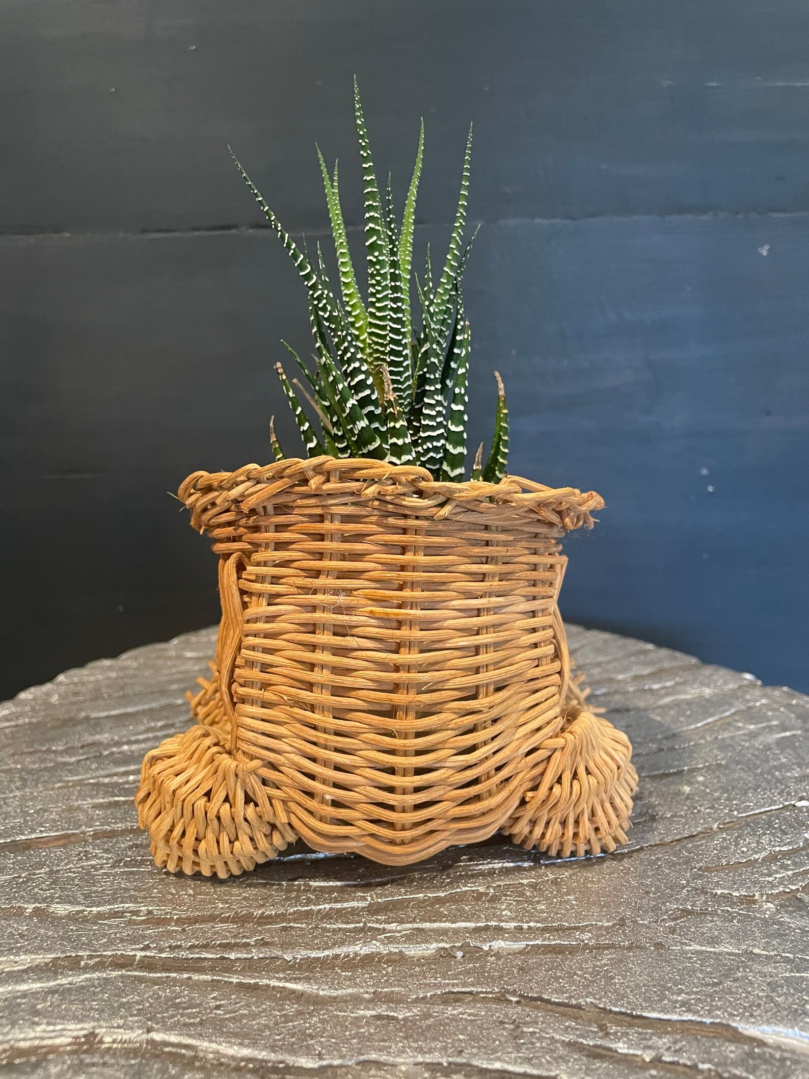 Vintage Wicker Frog Planter - Etsy