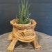 Vintage Wicker Frog Planter - Etsy