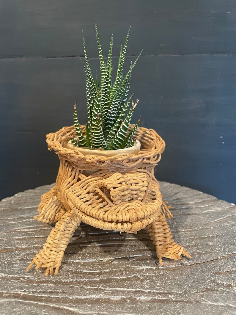 Vintage Wicker Frog Planter - Etsy