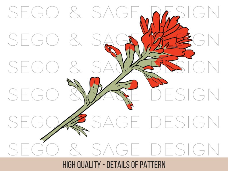 Indian Paintbrush Pattern, 12 X 12 Seamless Pattern, Western Patterns ...
