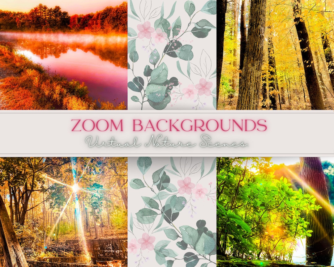 Zoom Backgrounds Nature Photography Photo Fall - Etsy