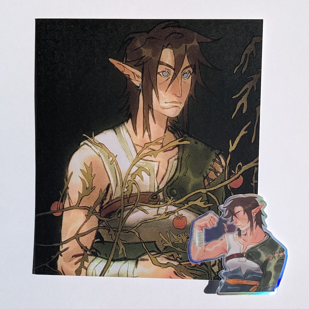 Ordon Link Twilight Princess - Print/sticker - Etsy