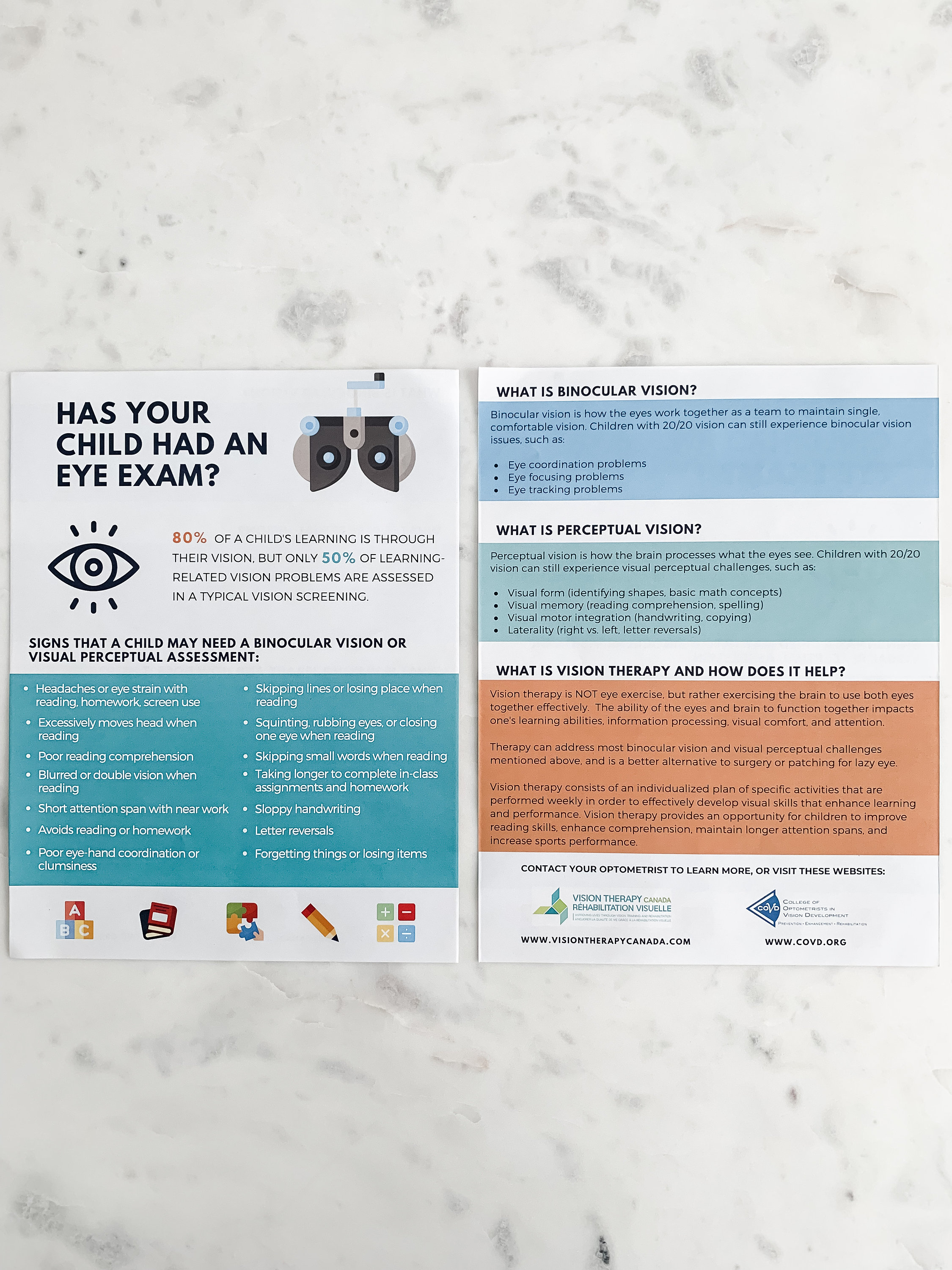 Printable Binocular Vision Infographic for Classroom or Office - 8x11 ...