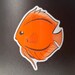Discus Fish Sticker - Etsy