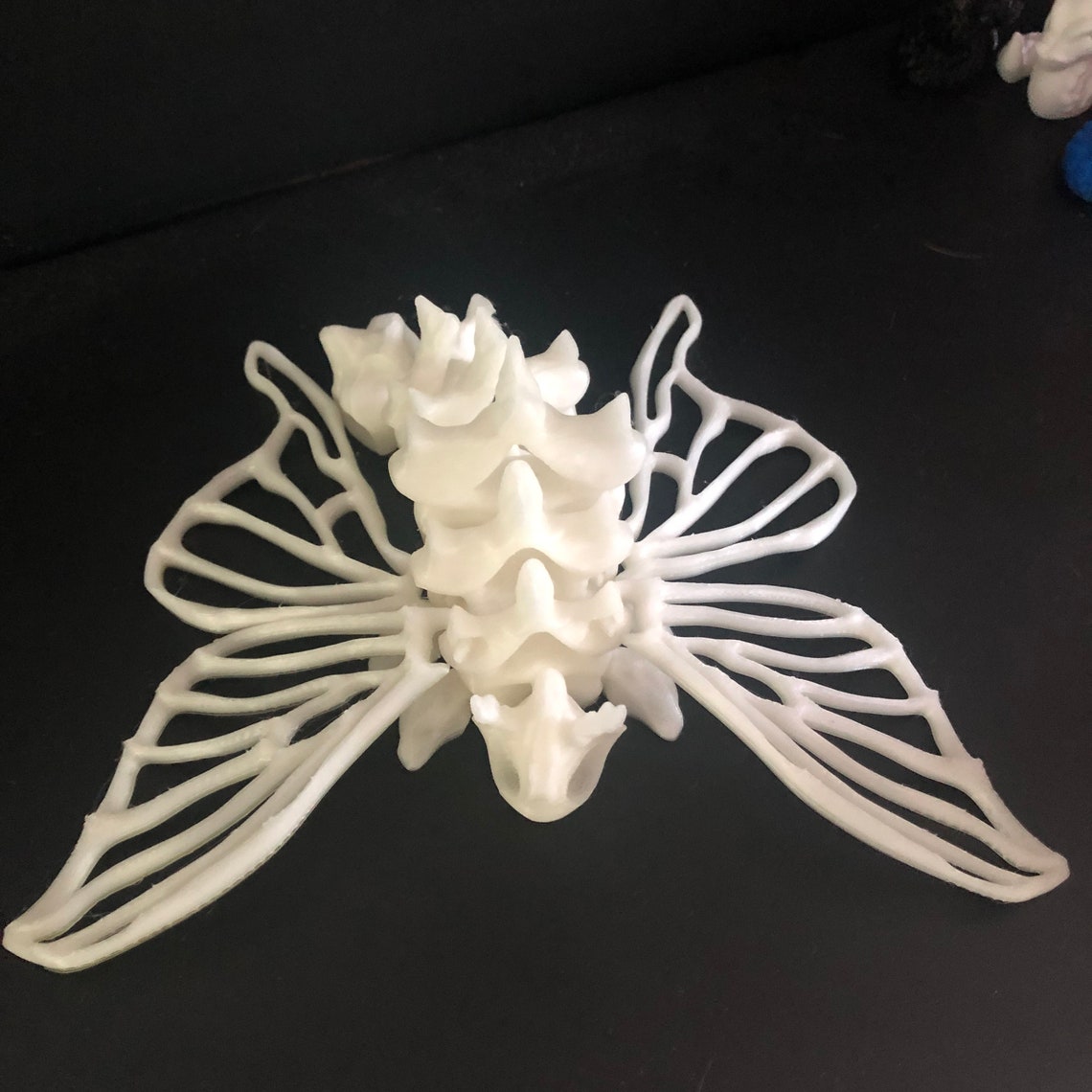 Articulated Bone Moth Figurine 3D Printed Insect Sculpture - Etsy