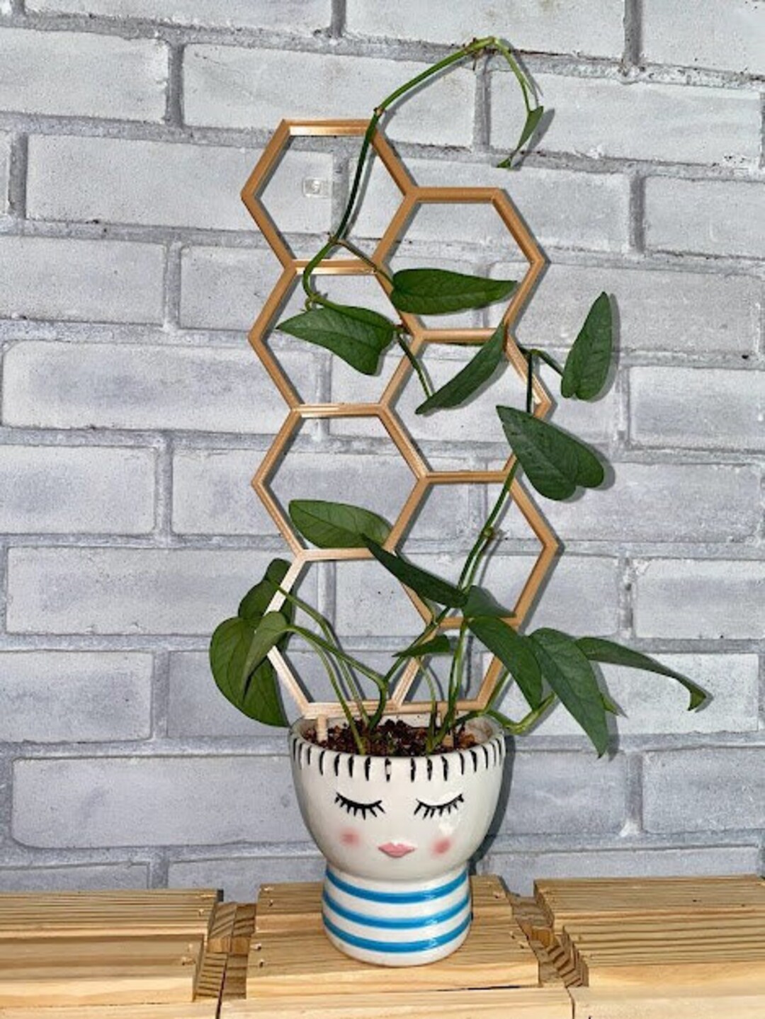 8.25in Hexagon Trellis With Selecting an Initial for Indoor / - Etsy