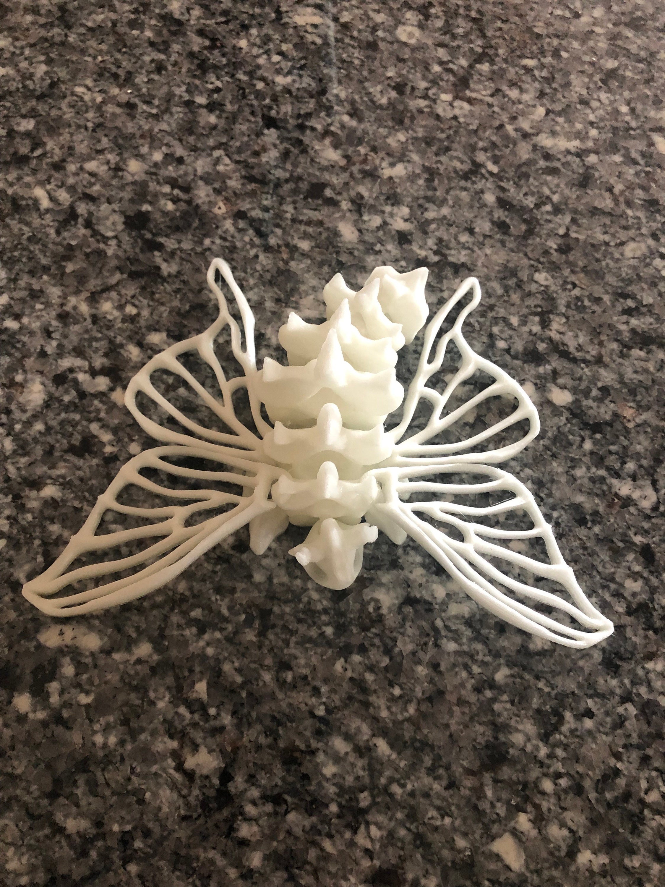 Articulated 3D Printed Bone Moth Figurine - Posable Insect Model - Etsy