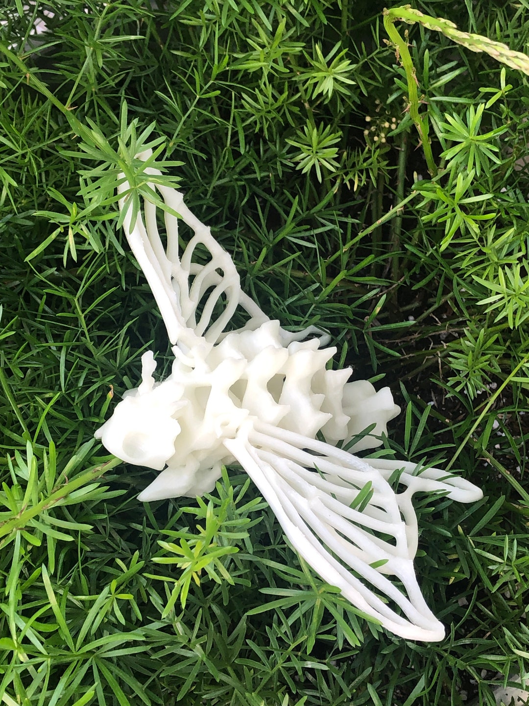 Articulated 3D Printed Bone Moth Figurine Posable Insect Model - Etsy