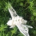 Articulated 3D Printed Bone Moth Figurine - Posable Insect Model - Etsy