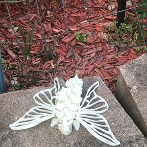 Articulated 3D Printed Bone Moth Figurine Posable Insect Model - Etsy