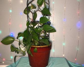 Vine Plant Stand | Etsy