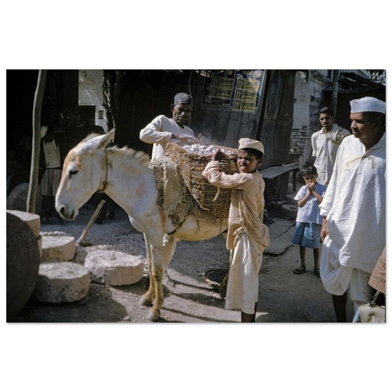 Photo Print 1960s Calcutta India Boy and a Donkey, Vintage Kolkata Wall Art Poster Home Office ...