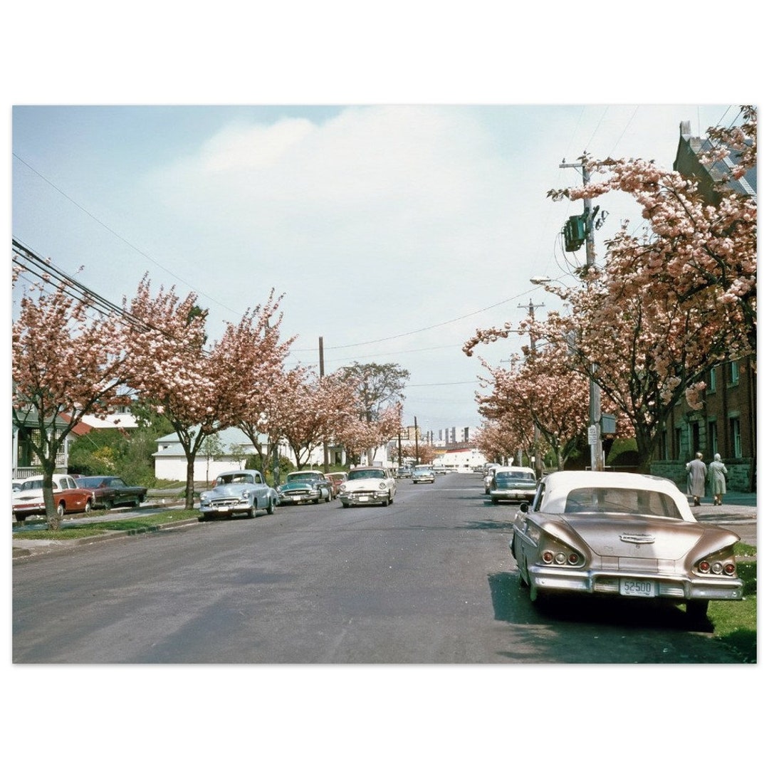 Photo Print 1960s Canada, Victoria, British Columbia, Residential ...