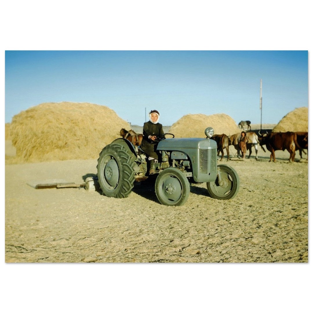 Photo Print 1950s Turkey on a Tractor, Grain Farmer, Vintage Wall Art ...
