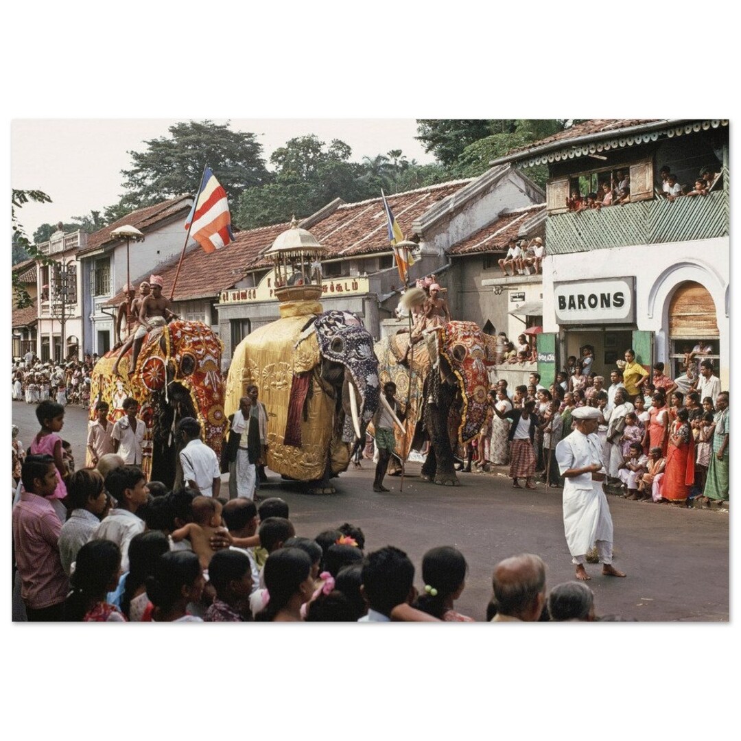 Photo Print Sri Lankan Heritage 1970s Kandy Festival of Tooth, Esala ...