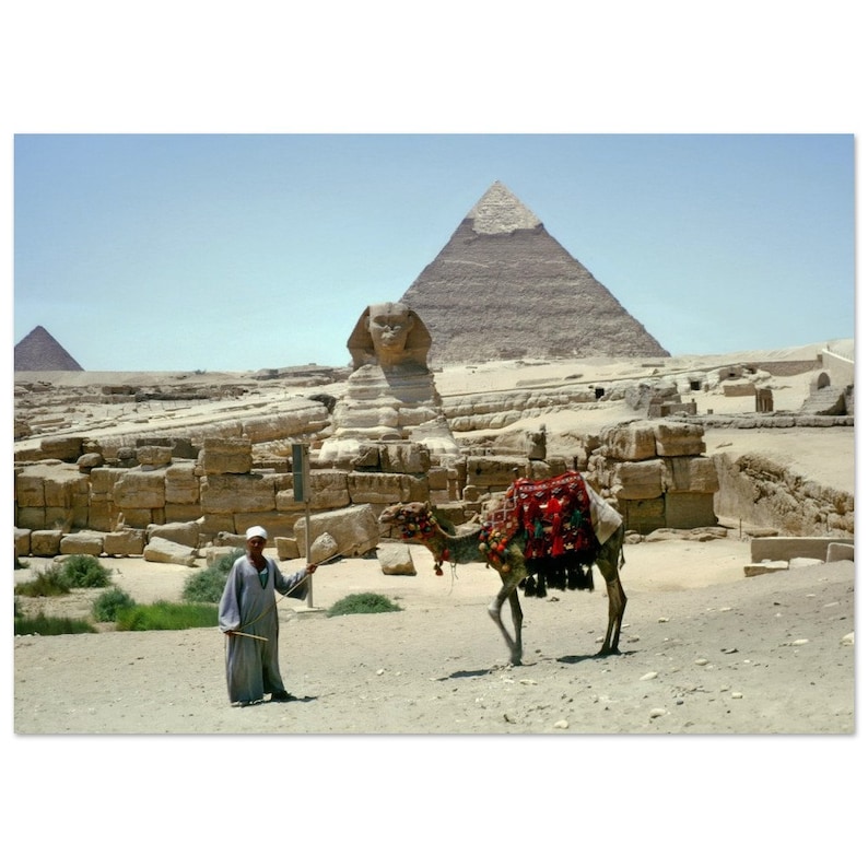 Photo Print 1960s Egypt Great Sphinx of Giza Pyramid Complex, Vintage ...