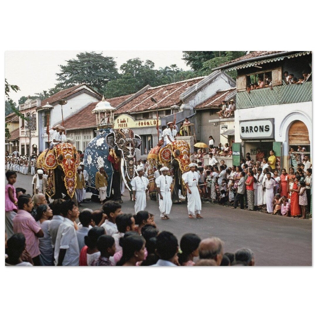 1970s Sri Dalada Perahara Procession Kandy, Sri Lanka Photo Print ...
