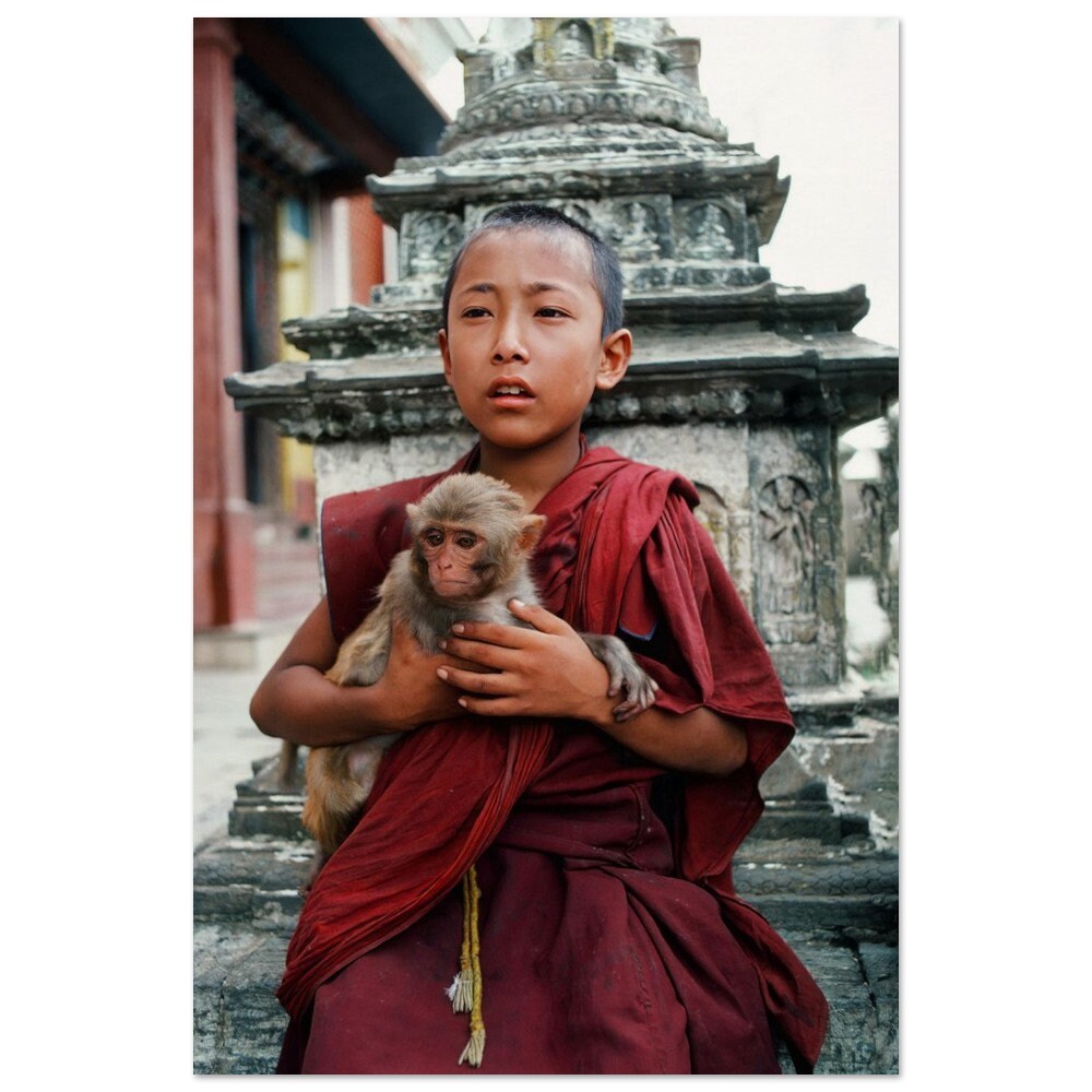 Photo Print 1970s Young Buddhist Monk With a Pet Monkey, Nepal, Vintage ...