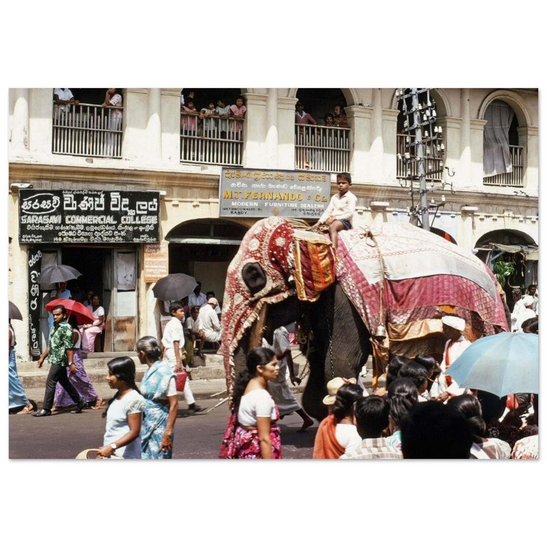 Photo Print 1970s Kandy Sri Lanka Festival of Tooth, Esala Perahera ...