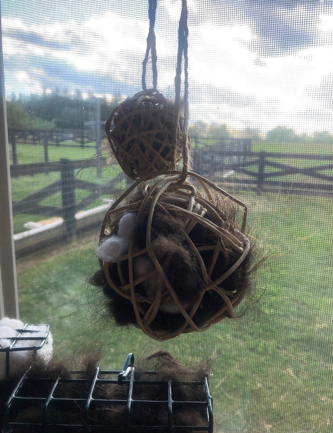 Bird Nest Builders - Bird Nesting Balls - 100% Yak Fiber/wool - Made in ...