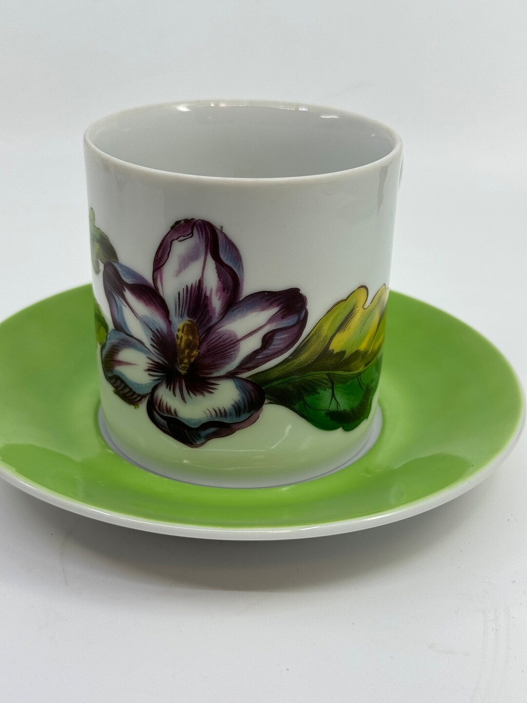 Cup & Saucer Set MOTTAHEDEH the Exotic Plant Camellia and Leaf ...