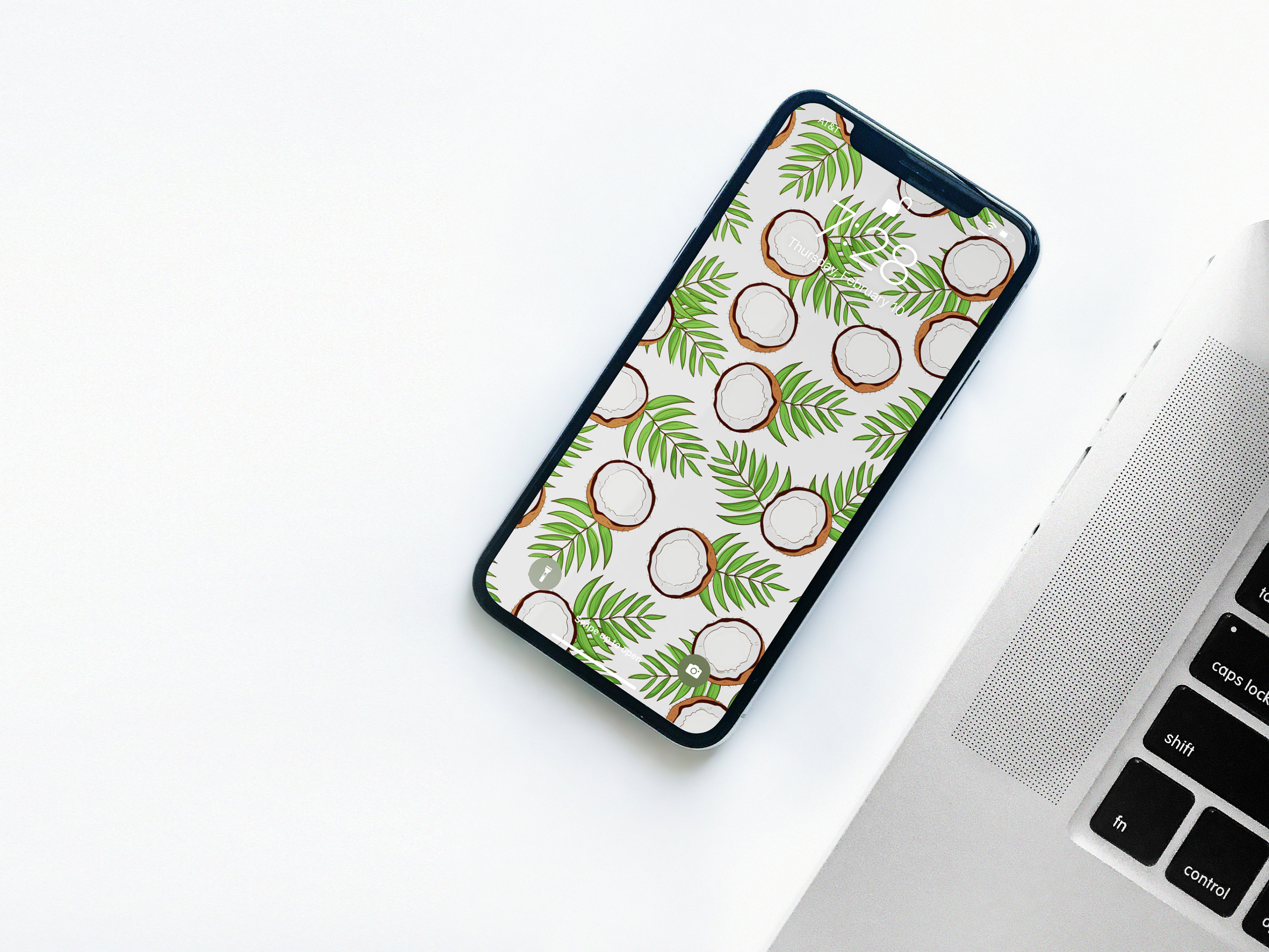 Coconut - Phone Background for iPhone / Android , Phone Background ...