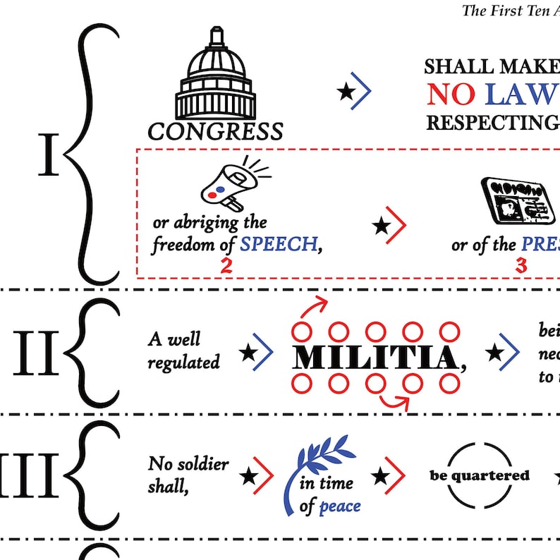 Bill of Rights Pictographic Poster - Etsy