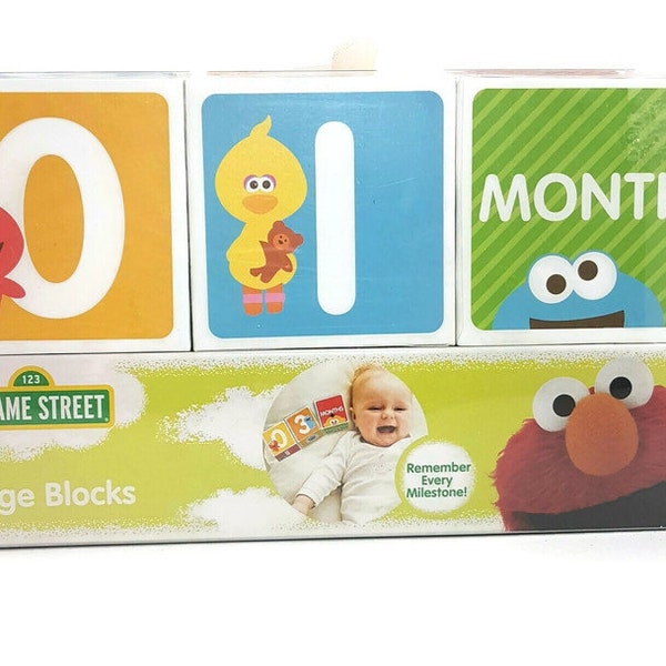 Sesame Street Blocks - Etsy