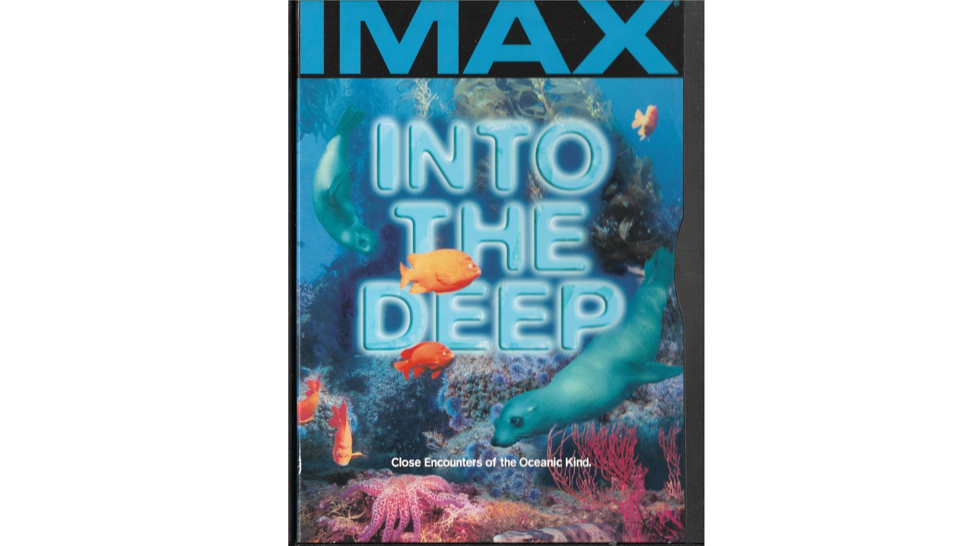 Imax Dvds T Rex Imax and Imax Into the Deep - Etsy