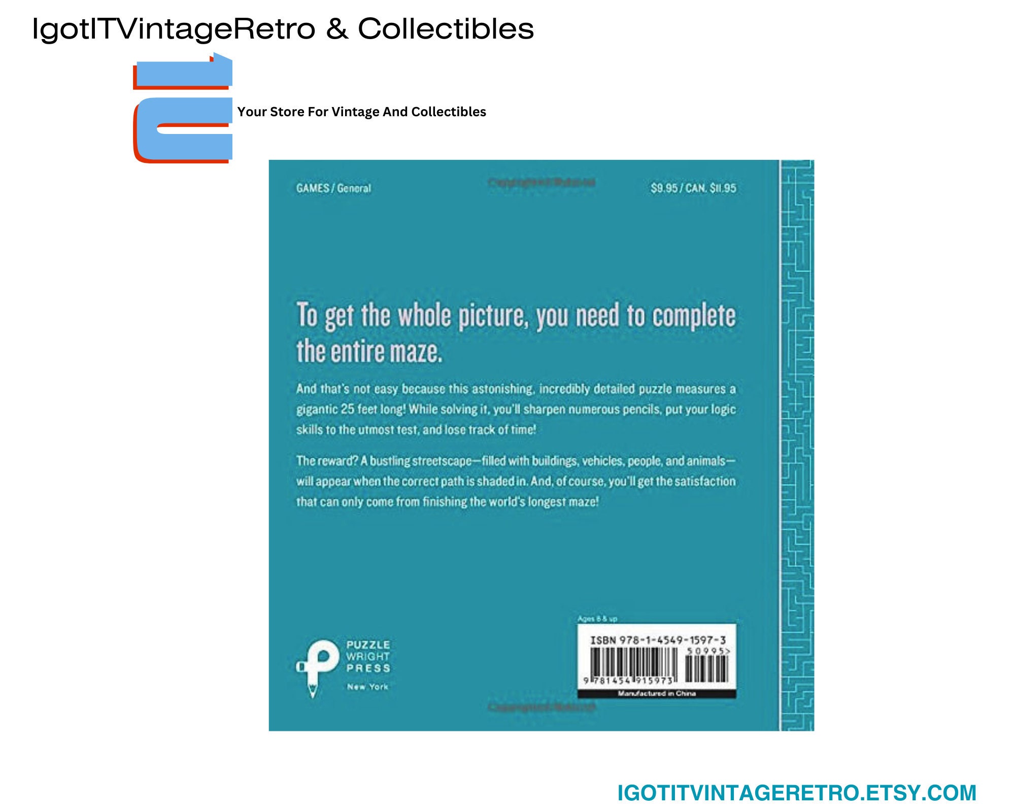 NEW the World's Longest Picture Maze by Conceptis - Etsy