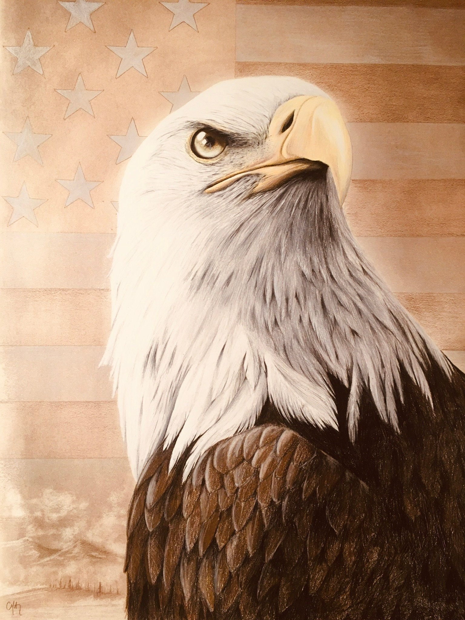 American Eagle Pencil Drawing