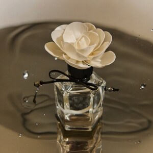 Luxury Diffuser/reed Diffuser/gift/perfect Gift/110ml Hexagon Diffuser ...