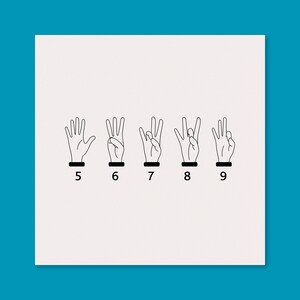 Procreate ASL Alphabet Brushes: American Sign Language, Numbers ...
