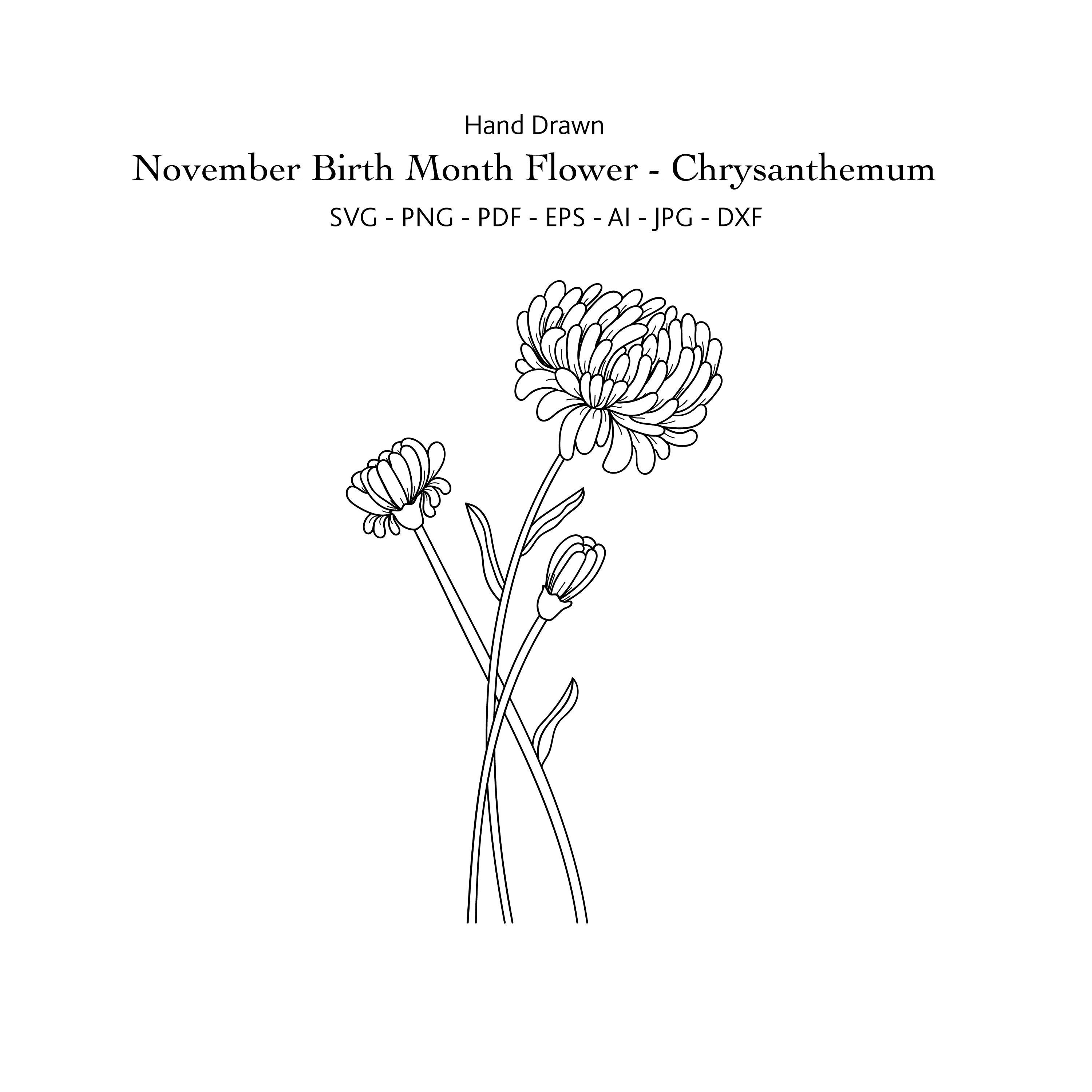 November Birth Month Flower