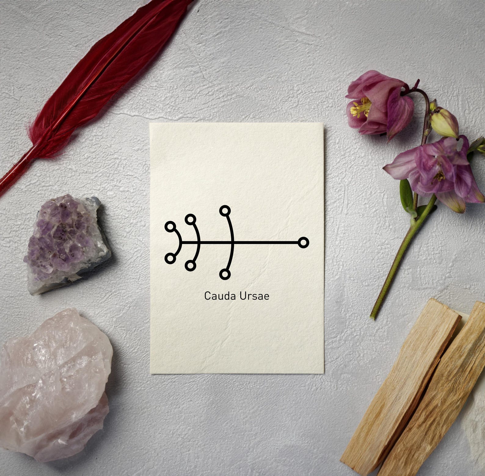 Behenian Fixed Stars Symbol SVG Bundle: Magical Fixed Star Sigils ...